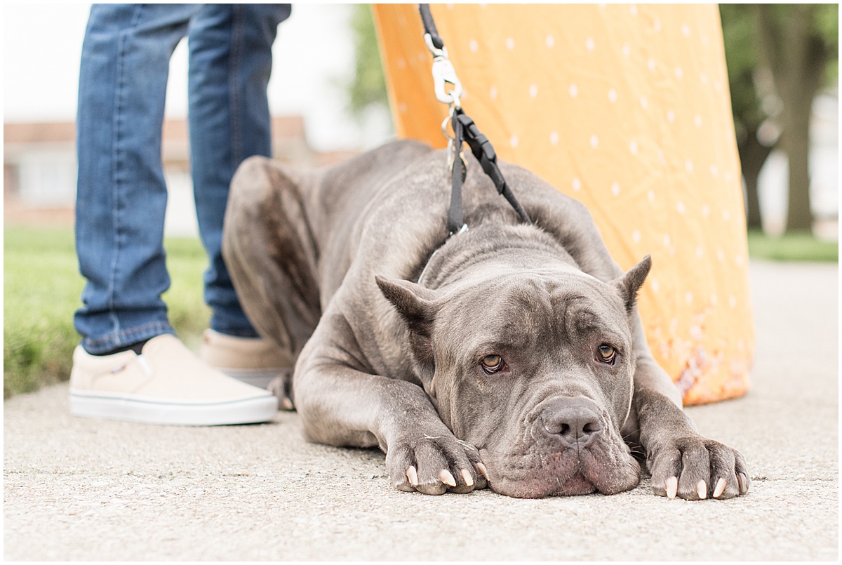 Tim & Victoria: Engagement Photos in Downtown Crown Point, Indiana ...